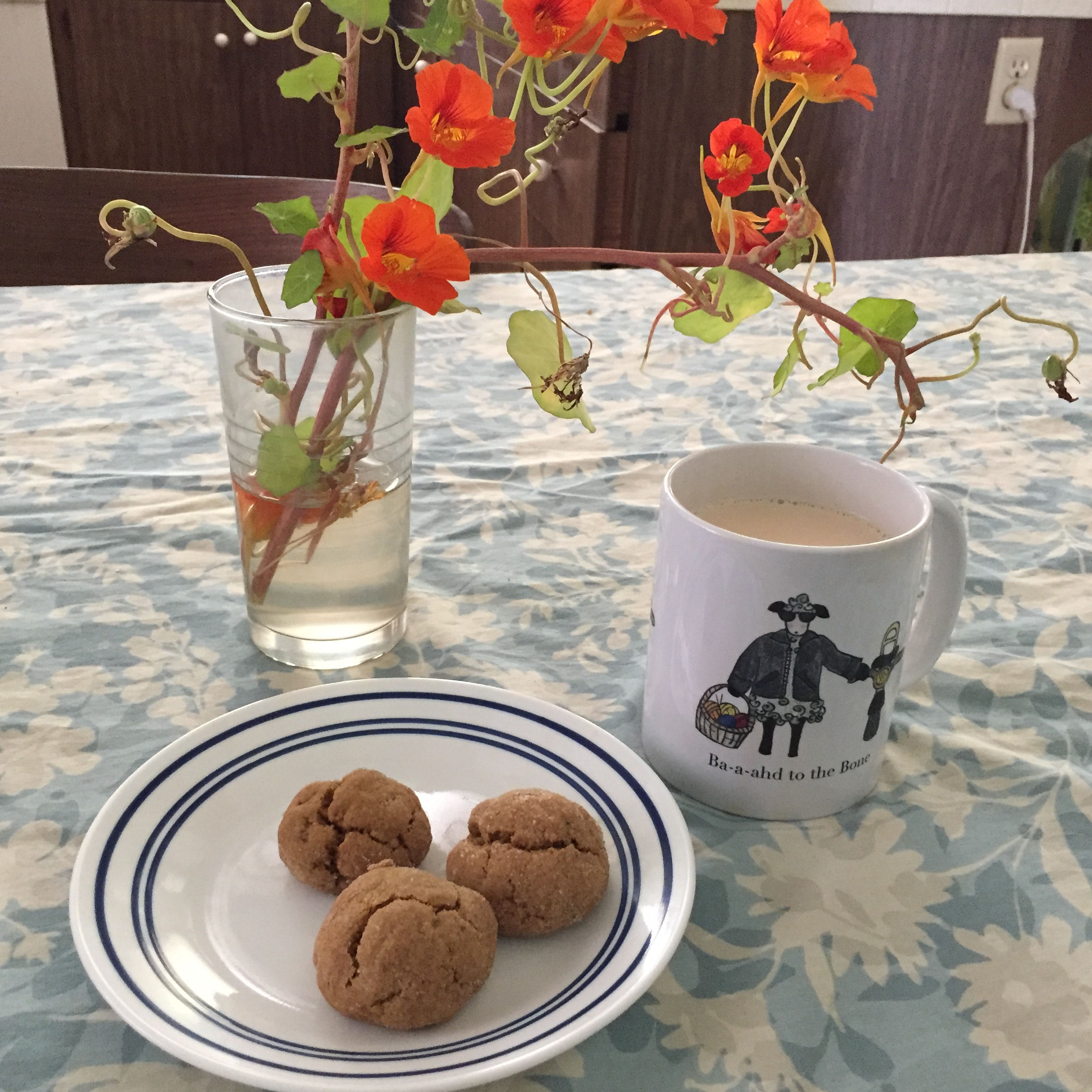 Jan’s Cardamom Triple Ginger Cookies | Jabberwocky Stew